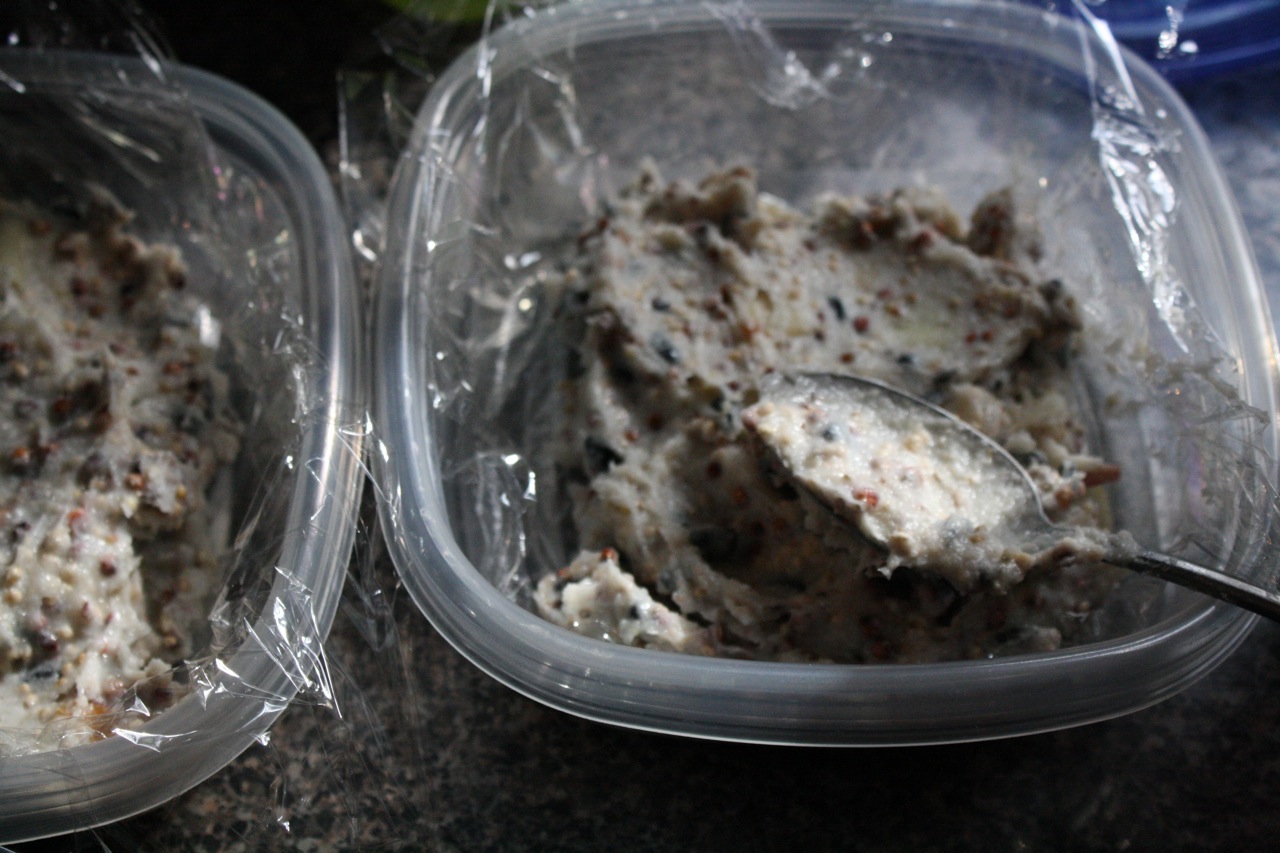 Homemade Suet - Your BEST Homeschool