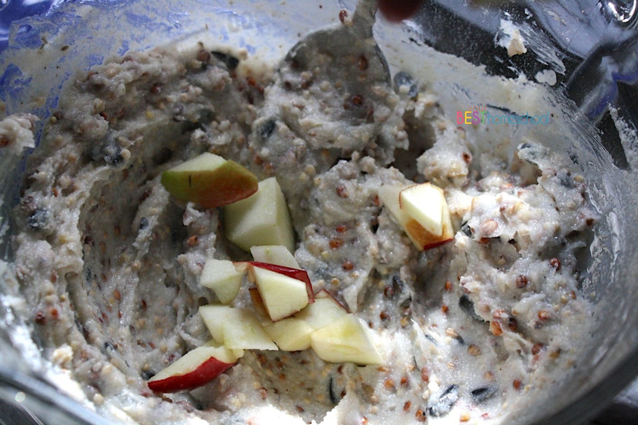 Homemade Suet Recipe for Your Backyard Birds - Your BEST Homeschool