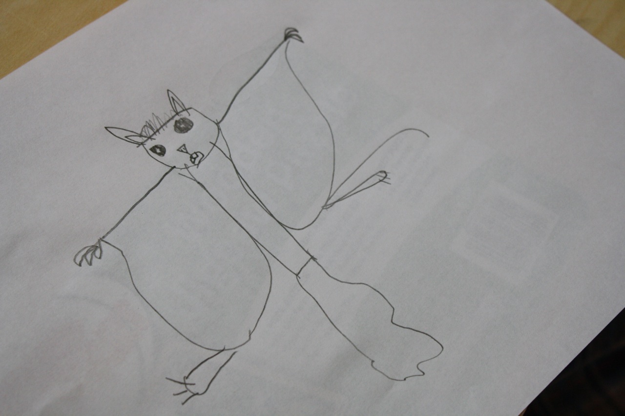 Night time Critters: Flying Squirrel and More - Your BEST Homeschool