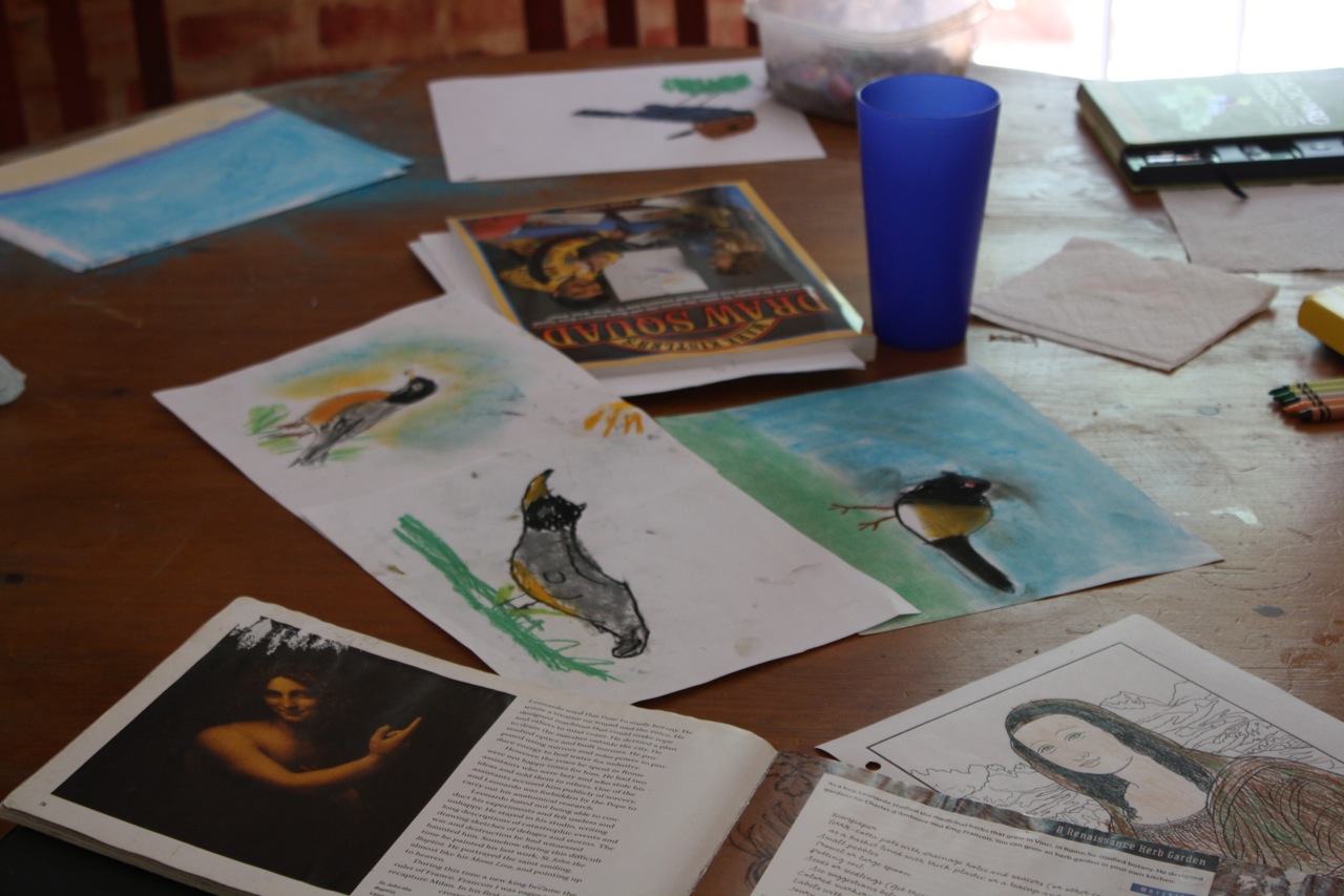 Robin Homeschool Art and Nature Study Lesson - Your BEST Homeschool