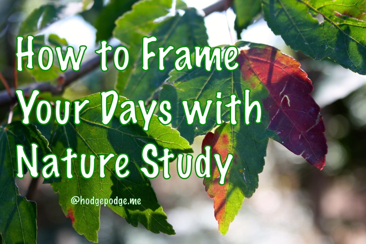How to Frame Your Homeschool Days with Nature Study - Your BEST Homeschool