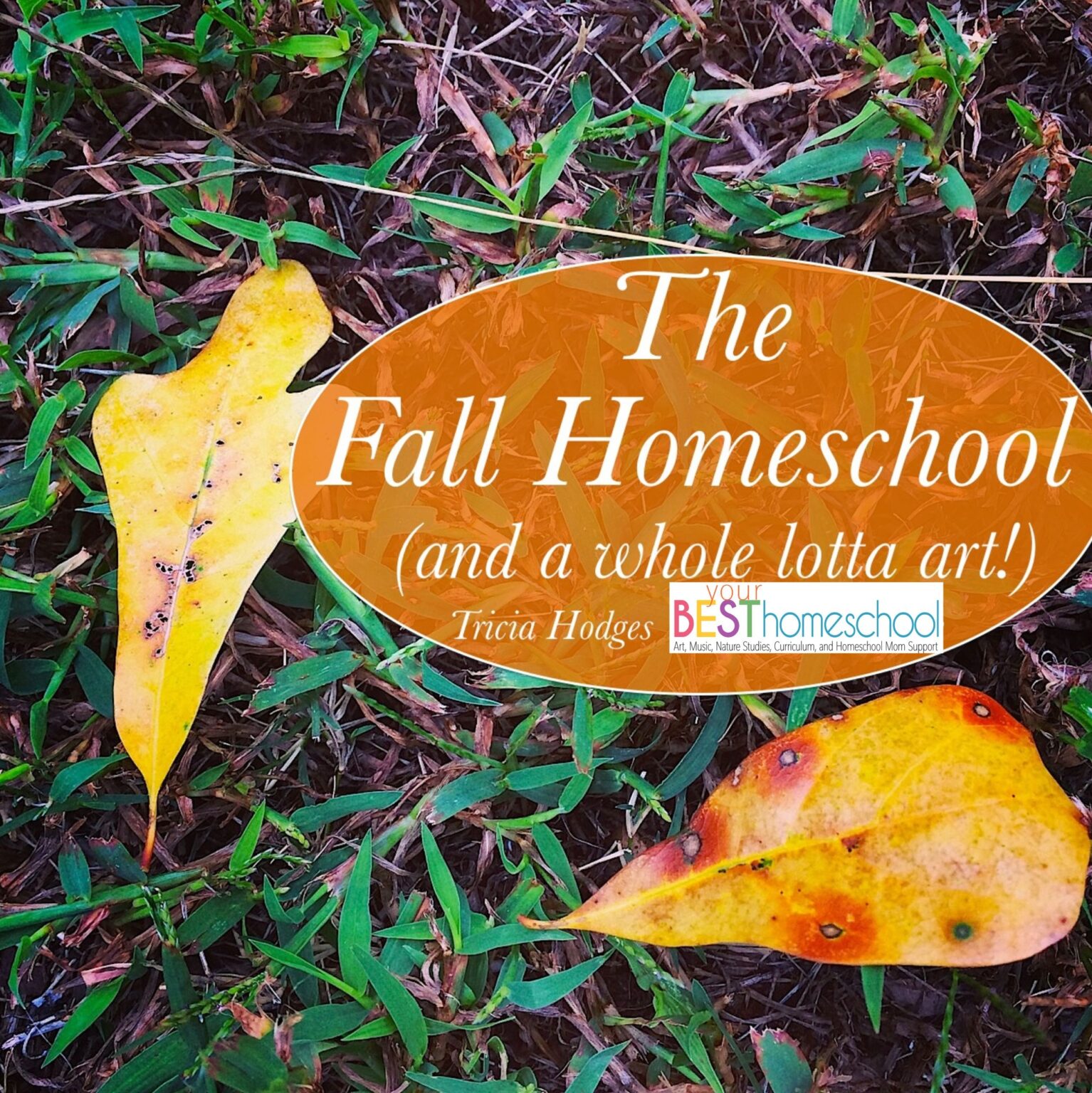 Beautiful Fall Homeschool Activities For All Ages - Your BEST Homeschool