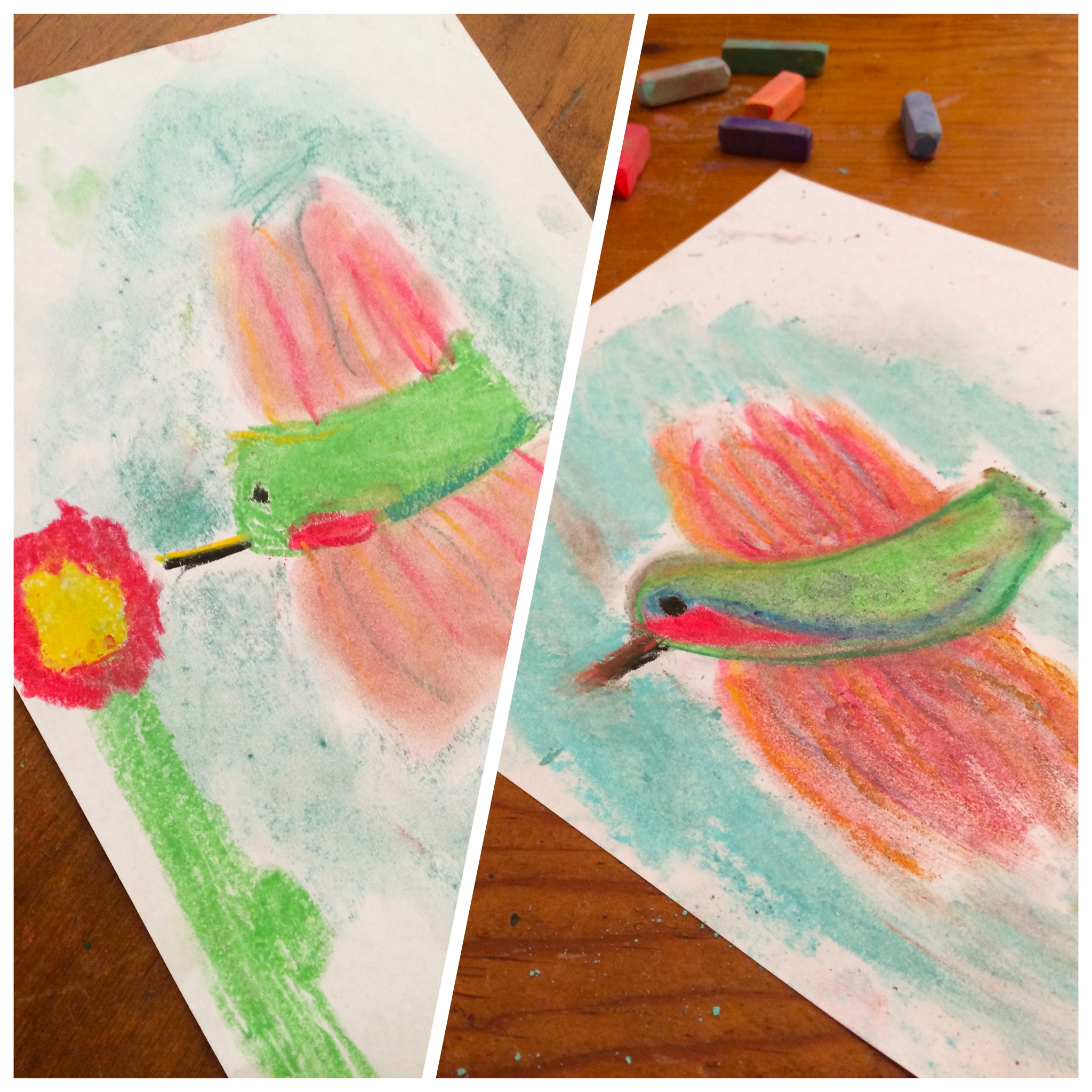 Hummingbird Video Chalk Art Tutorial - Your BEST Homeschool