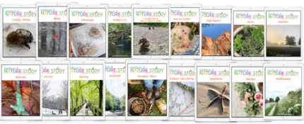 Homeschool Nature Study: Outdoor Hour Challenges For Learning And Fun ...