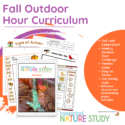 The Ultimate Guide To Fall Leaf Activities For Your Homeschool - Your ...