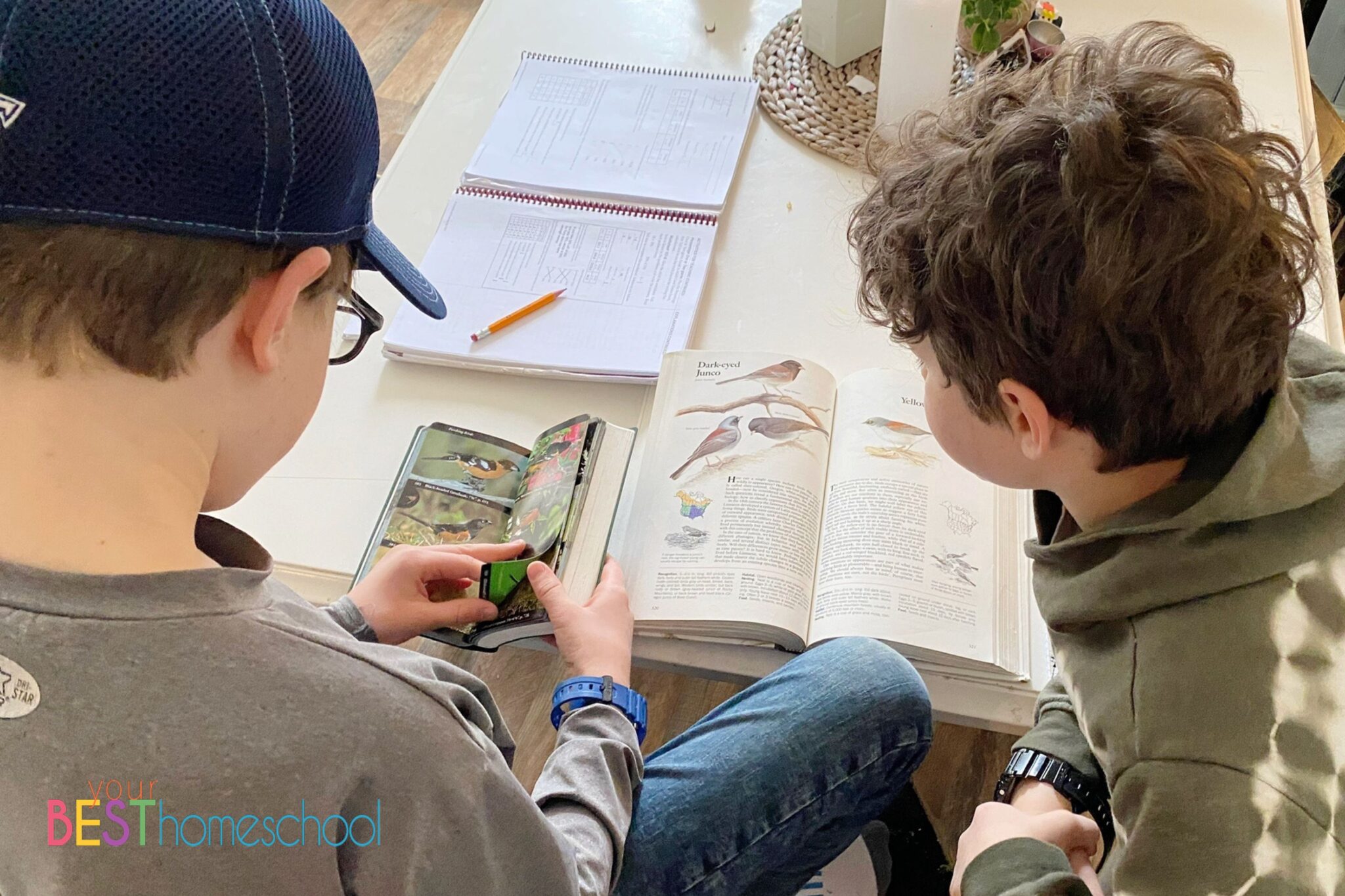 A Homeschool Mom's Guide to Fun February Learning - Your BEST Homeschool