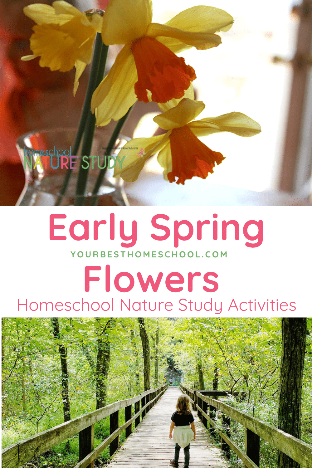 Early Spring Flowers Homeschool Nature Study Activities - Your BEST ...