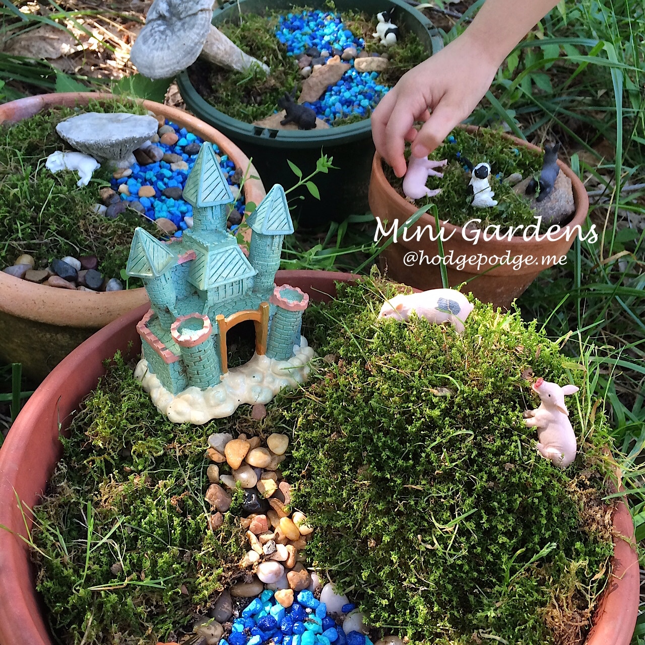 A Homeschool Mom's Guide to Memory-Making May Activities - Your BEST ...