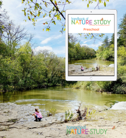 Planning Preschool Activities for Your Homeschool Year - Your BEST ...