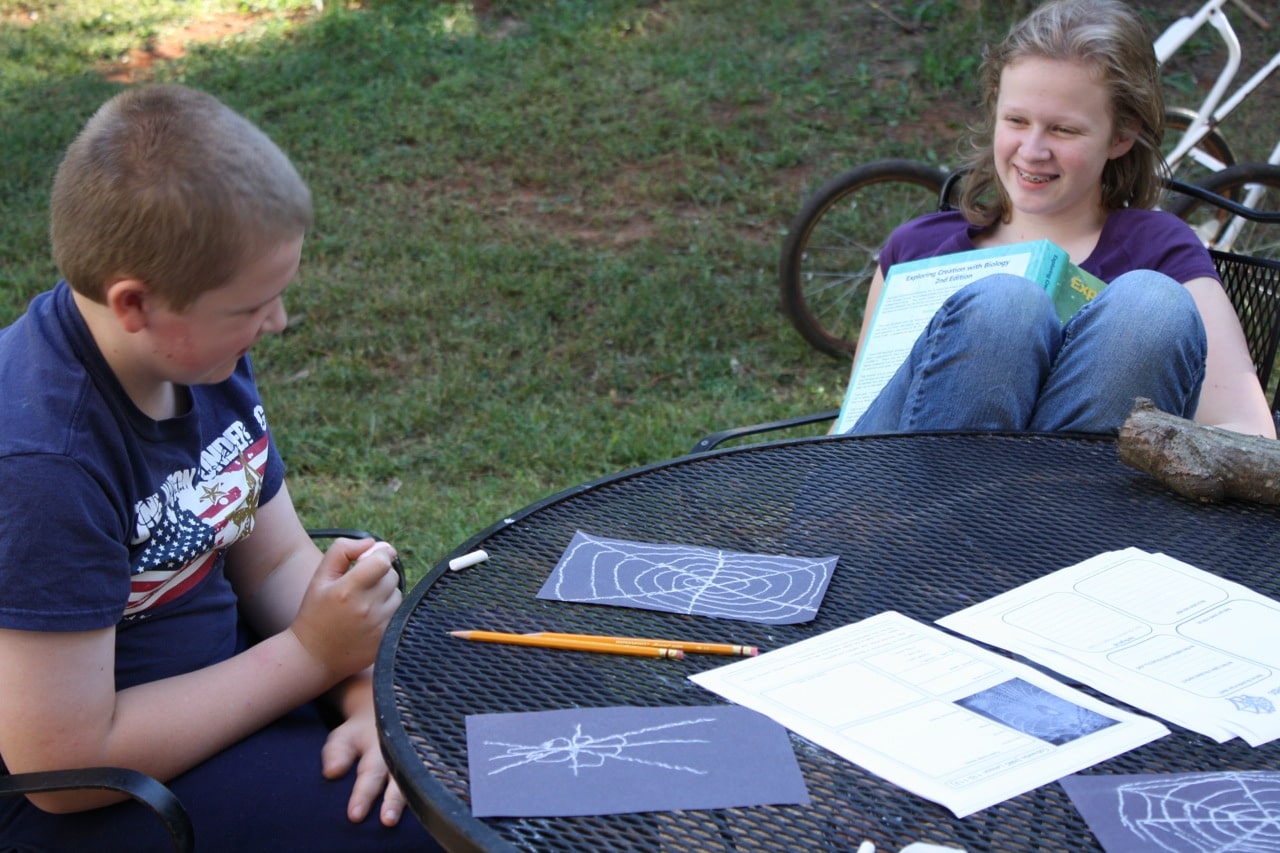 Spider Web Activities For All Ages: A Homeschool Mom's Guide - Your ...