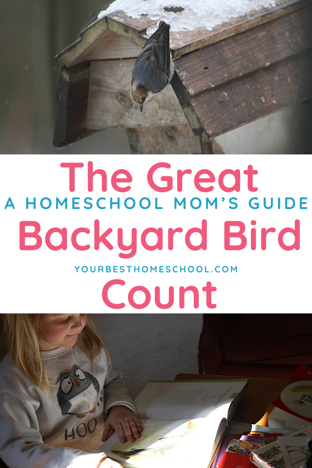 A Homeschool Mom's Guide to The Great Backyard Bird Count - Your BEST ...