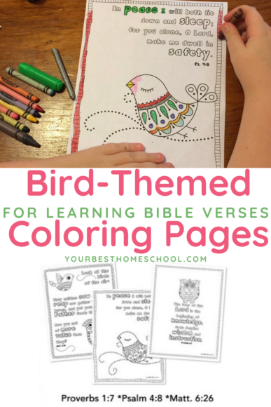 Bird-Themed Scripture Coloring Pages for Learning Bible Verses - Your ...